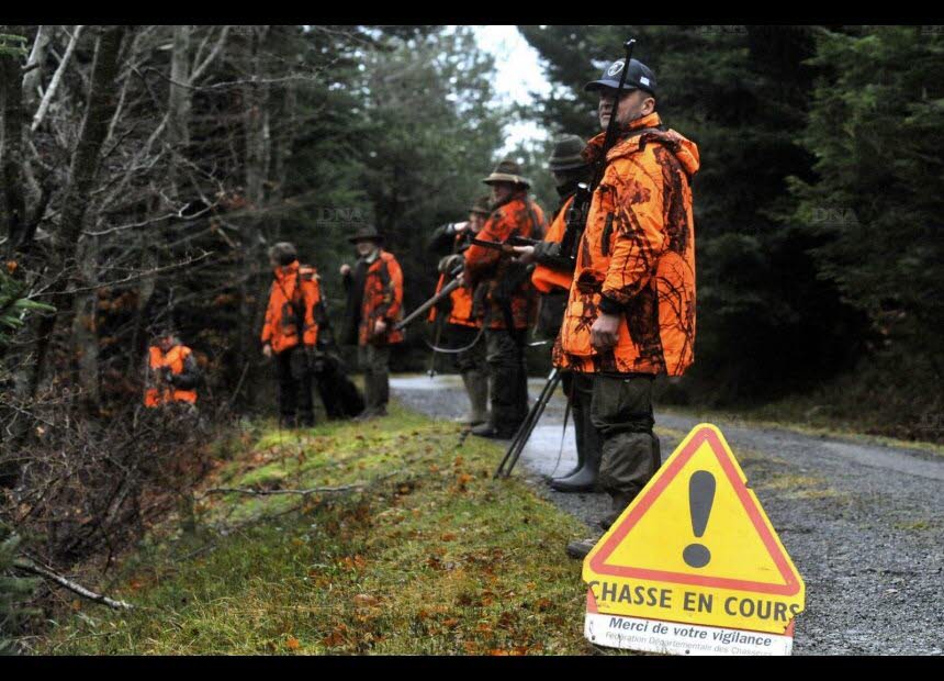 Chasse en battue ce dimanche 19 octobre en plaine de Hatten – Commune ...